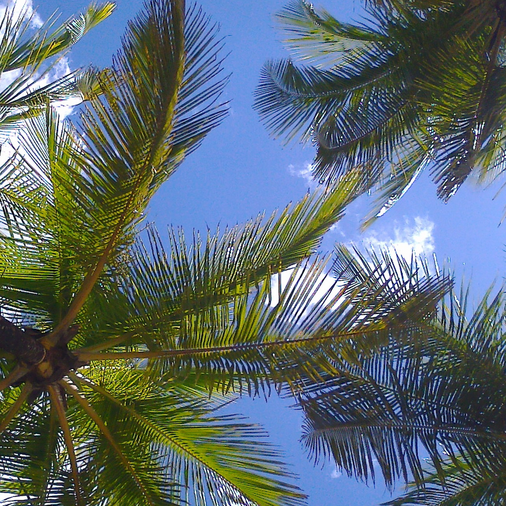 Ral fZ - CEO - self | XING