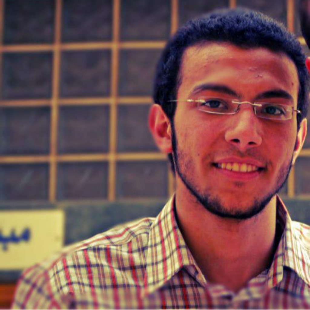 Omar Aboelsoud: Ausbildung und Berufserfahrung | XING