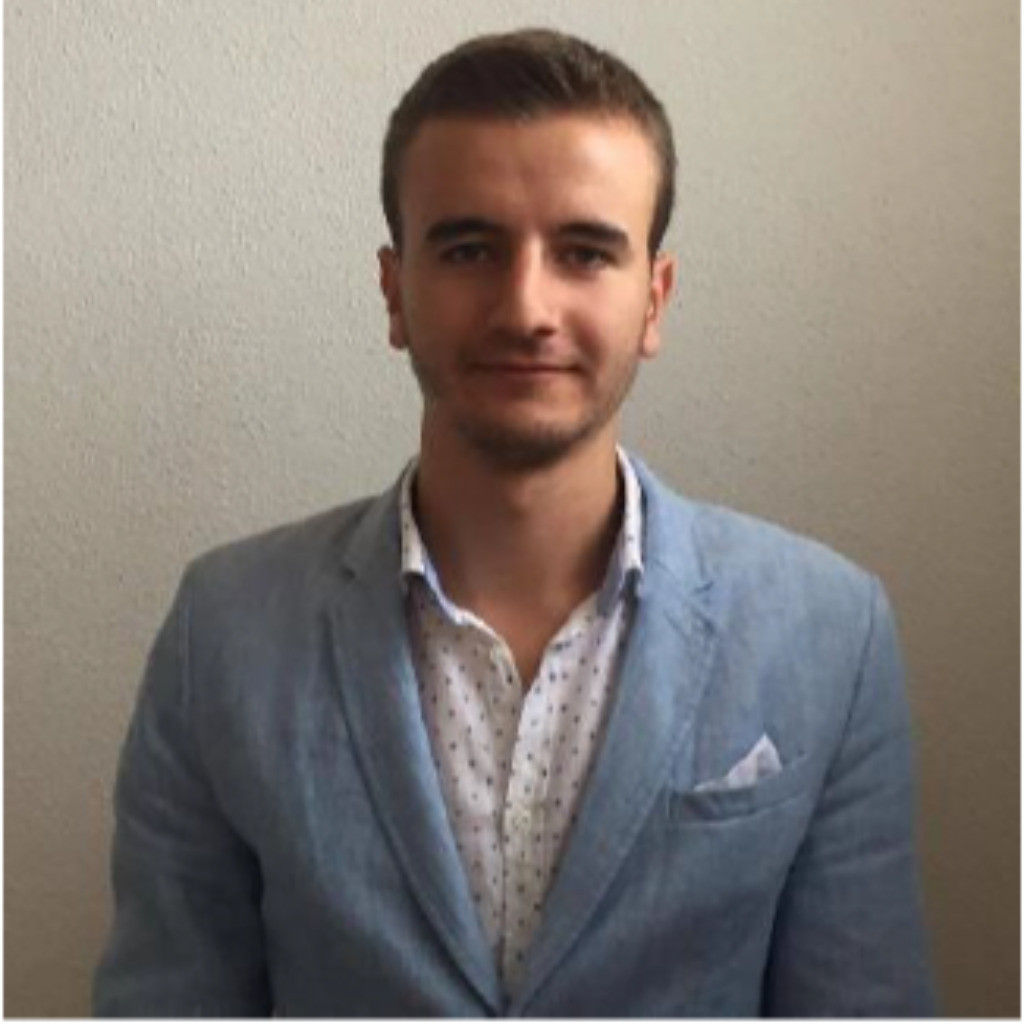 Anes Prole - Büromitarbeiter/Disponent/Verkäufer/Vertriebsinnendienst ...