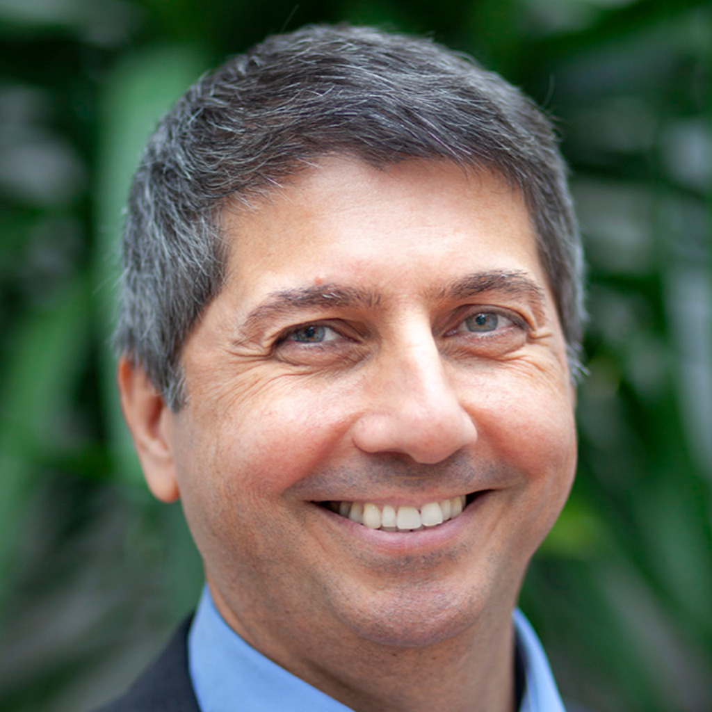 Ramin Birang - VP, Head of SAP Custom Development Asia Pacific ...