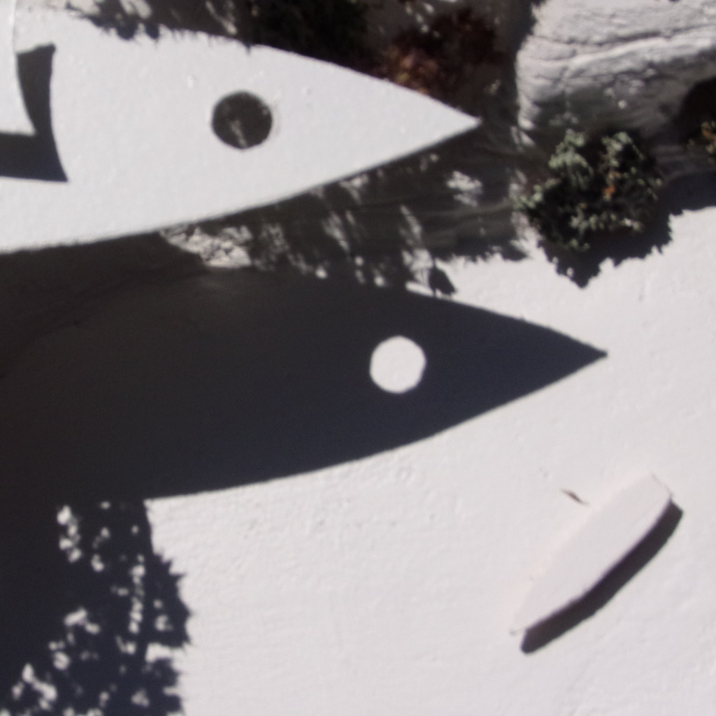 Bruce Bergmann - Projektsteuerer - Öffentliche Hand | XING