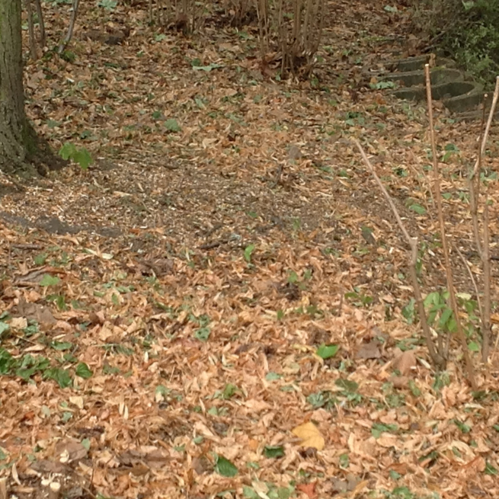 Mario Imbrogno: DVD | XING