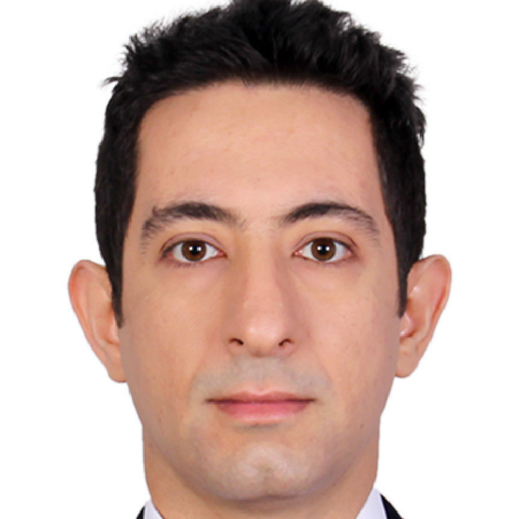 Hamed Abdollahpour - Full Stack Developer - WPIC | XING