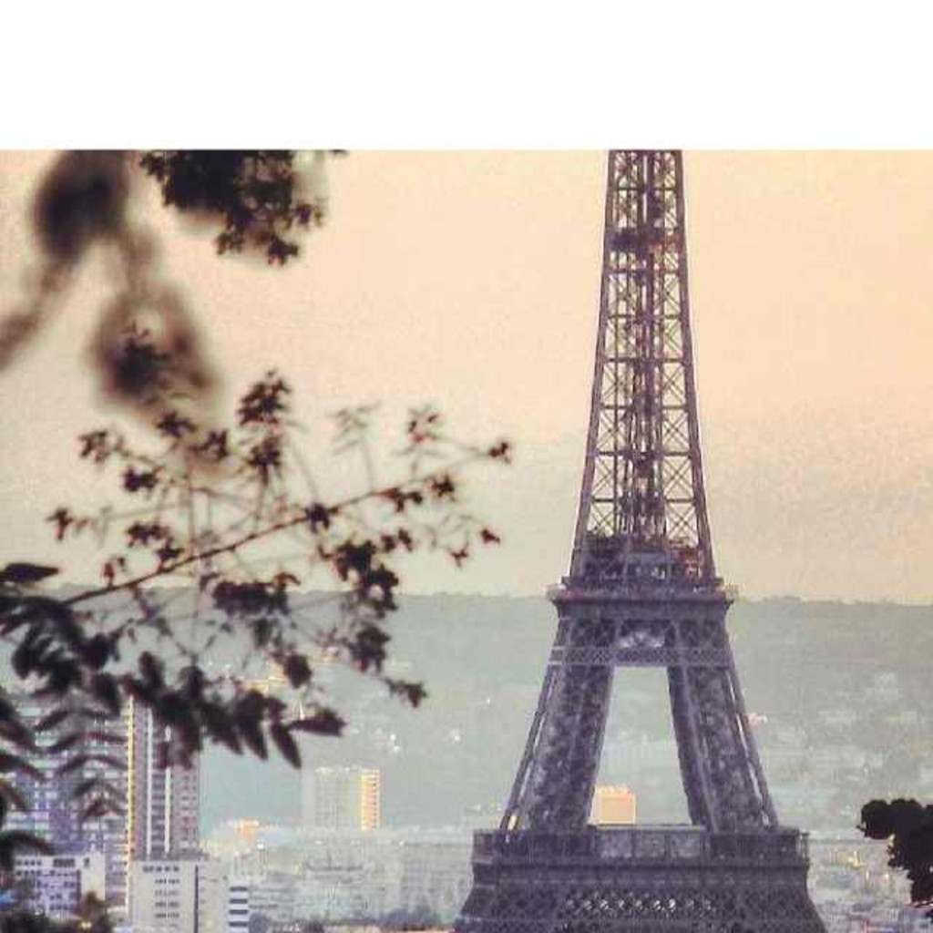 Ana Milinkovic - Economics - University of Belgrade | XING