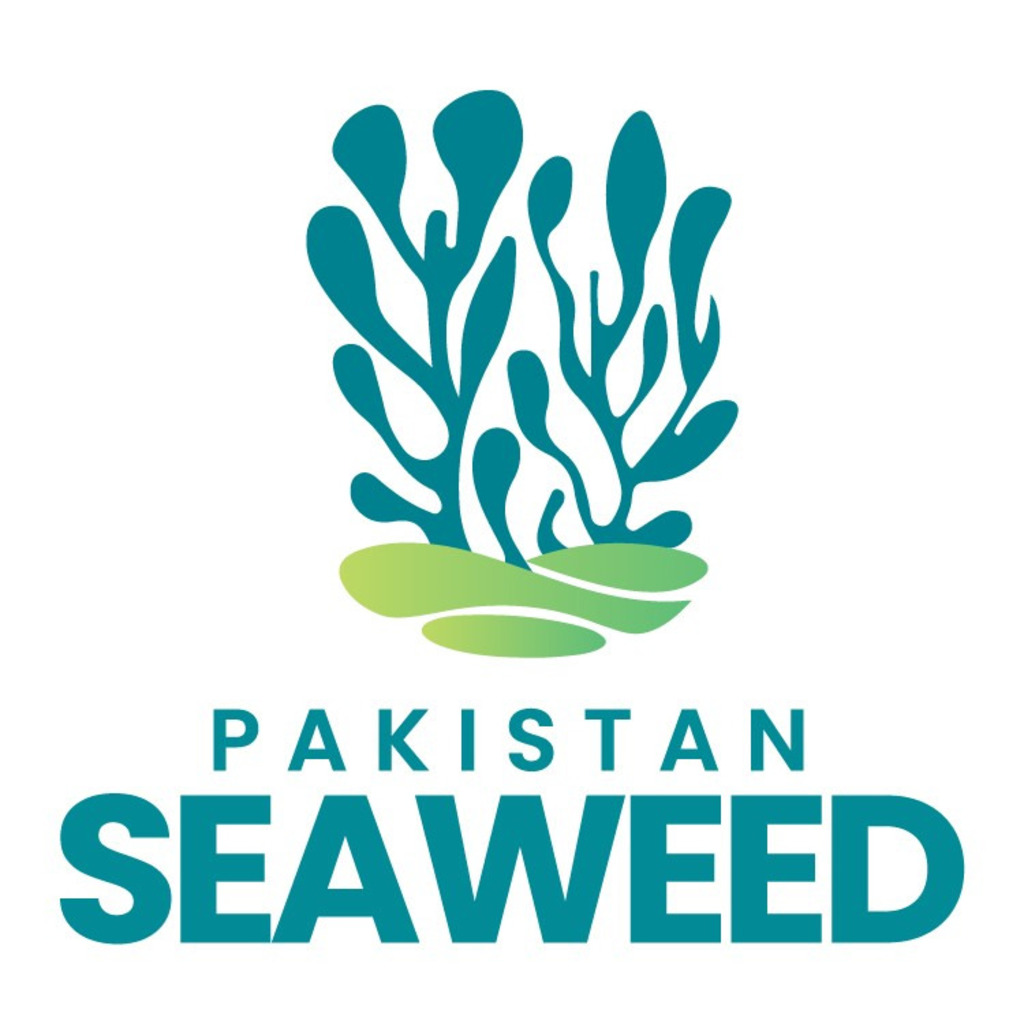 Talha Mukhtar - Marketing Manager - Pakistan Seaweed | XING Talha Mukhtar - Marketing Manager - Pakistan Seaweed | XING