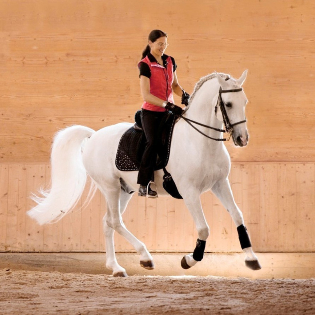 Anja Beran - Pferdeausbilderin / Horse trainer - Anja Beran ...