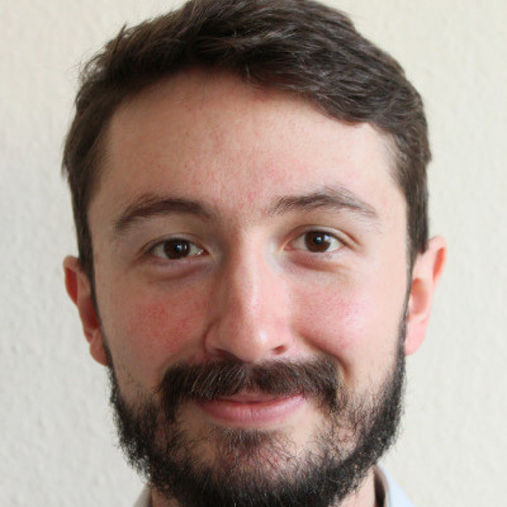 Dr. Michael Wille - Embedded Software Engineer - Bühler Motor GmbH | XING