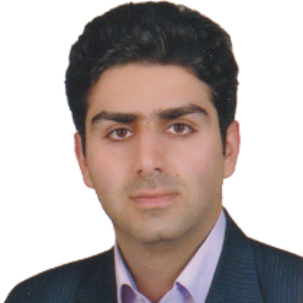 Hamed Kamal - Application Developer - Bamadad ICT Group | XING