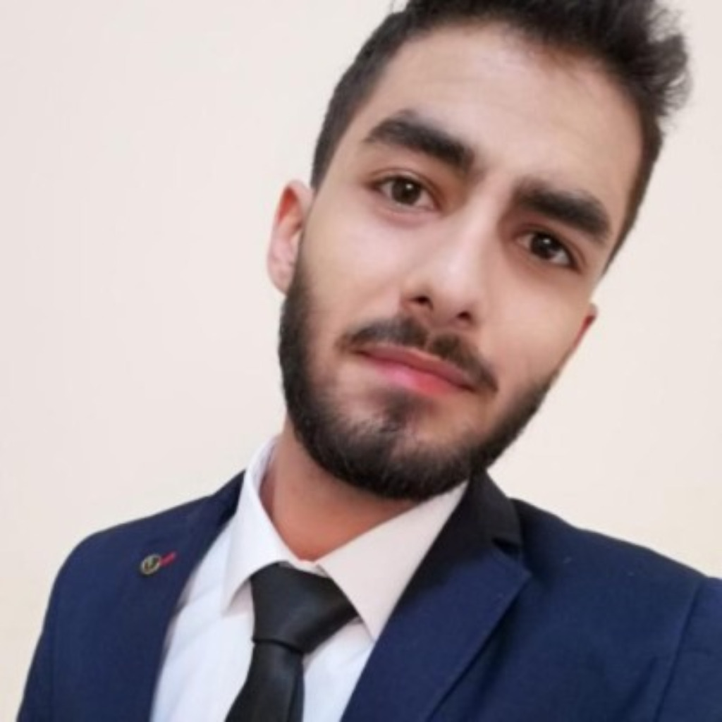 Mahmoud Raslan - Master of Science: Global Energy Transportation and ...