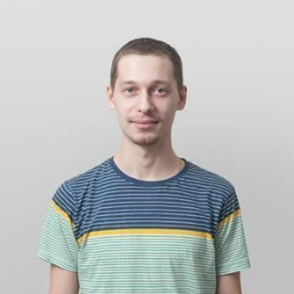 Sergey Demin - Frontend Developer - Svarog Systems | XING