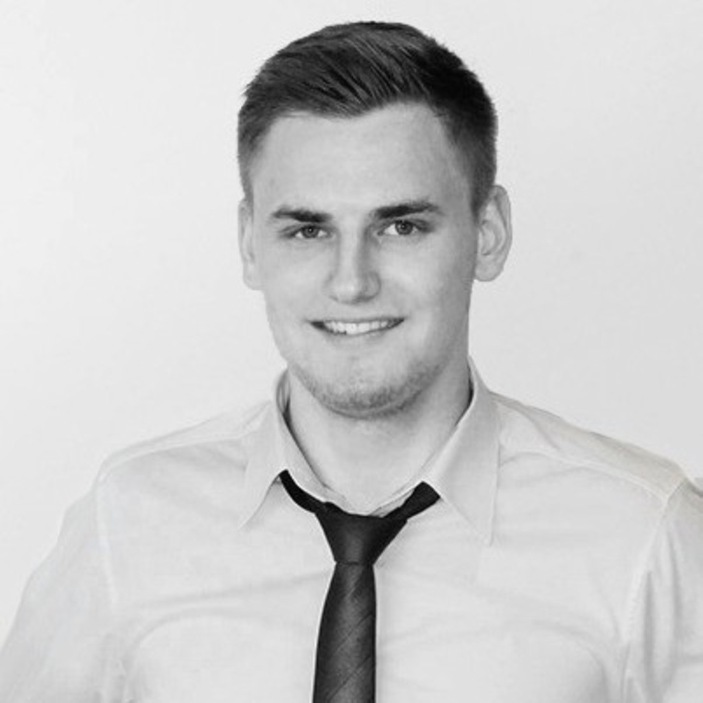 David Poltorak - SAP Consultant - visdel GmbH | XING