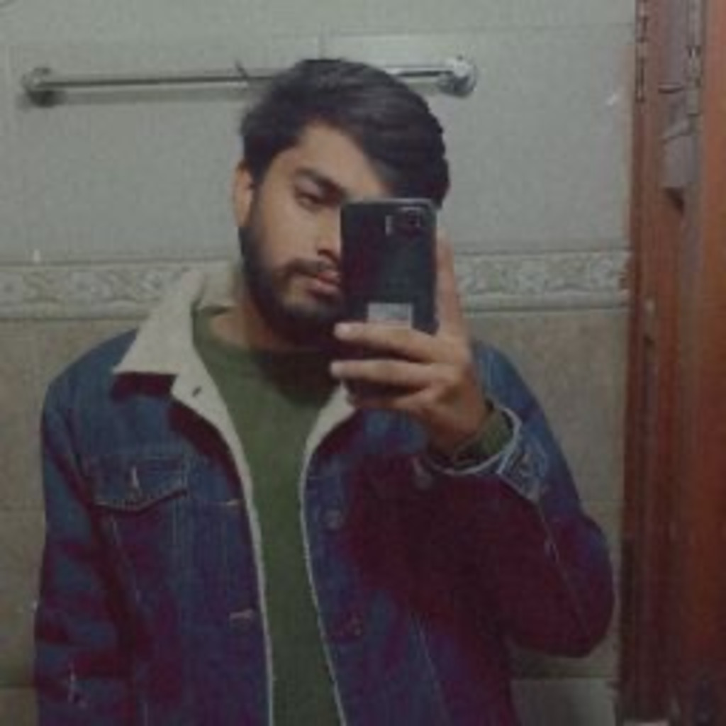 shuja ahmad - Web Developer - Webbuggs | XING