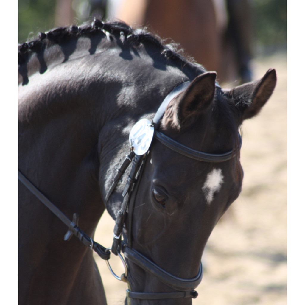 Anne Andres - Medizinisch-technische Radiologieassistentin ...