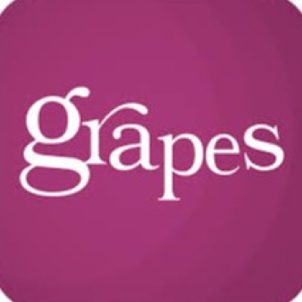 Grapes IDMR - Business Manager - Grapes Innovative Solutions | XING