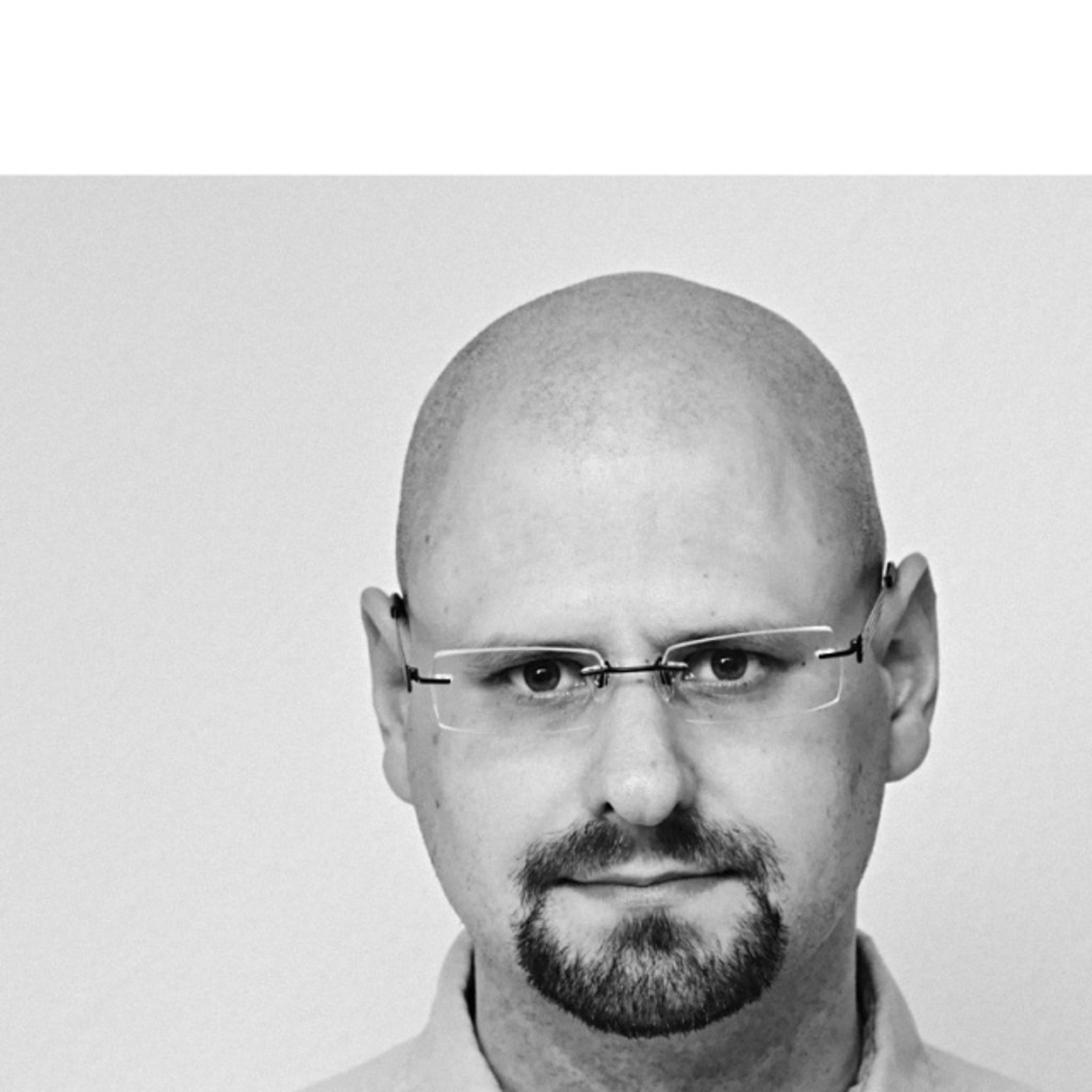 Ing. David Grüner - Geschäftsführer - web-emerge software services e.U ...