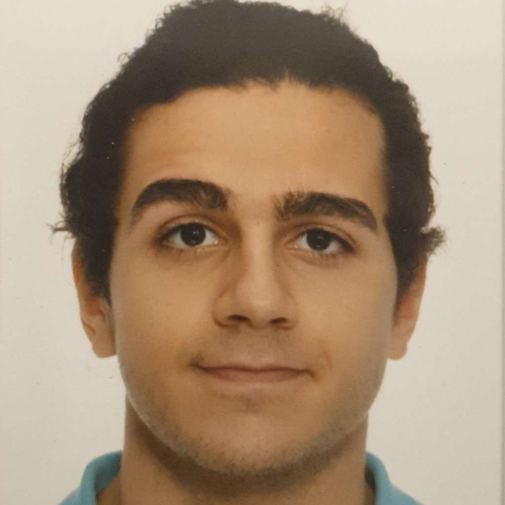 Moustafa Abdelsalam - Software Developer (Java) - E.ON | XING