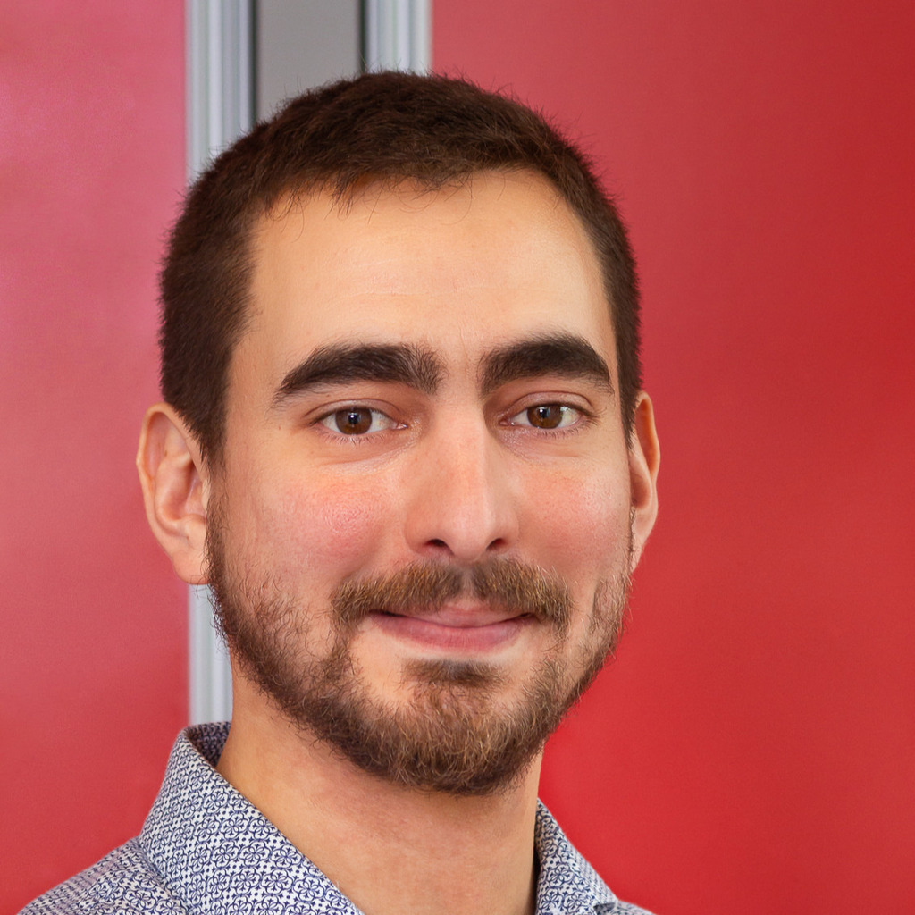 Tony Da Cruz - Directeur - Solutive | XING