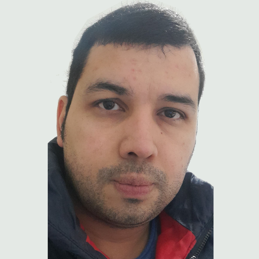 Manuel Alberto Díaz Anzola - Power Control Engineer - SEIS S.A. | XING