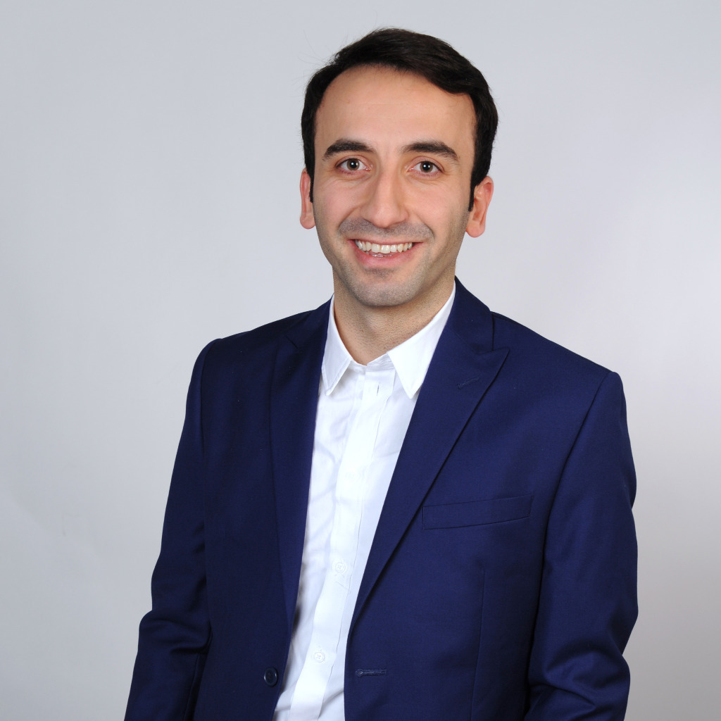 Ali Seyis - Junior Data Analyst - New Horizons Computer Learning Centers | XING