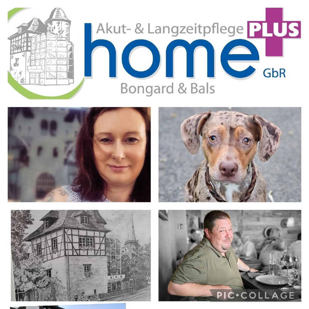 Silke Bongard - Reusch - Geschäftsführende Gesellschafterin - Home Plus Bongard & Bals GbR | XING