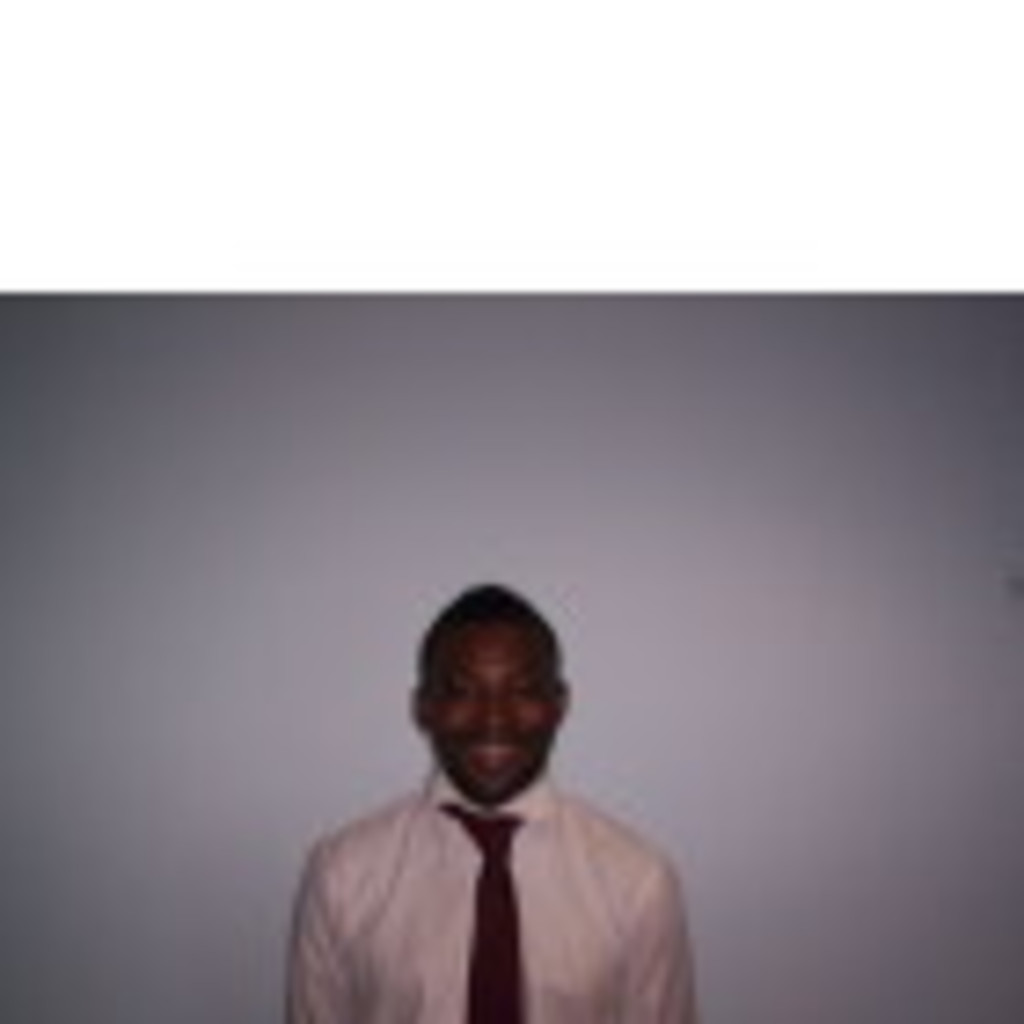 Ricardo Sinclair - IT Recruitment Consultant - Modis International | XING