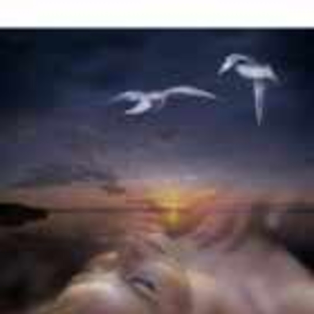 Dr. Peter Reinsch - LIFECOACH - dr.peter reinsch | XING