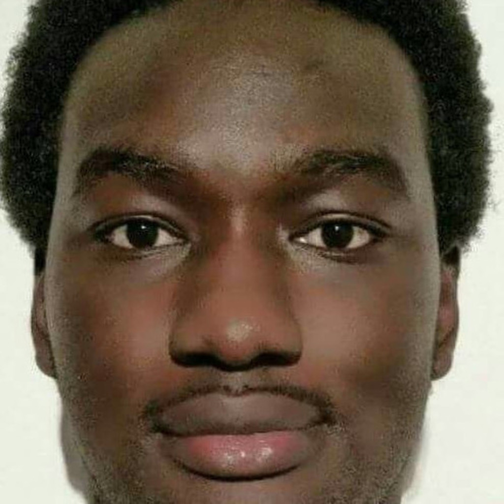 Aliou Lo - Hauswart all Rounder - T.D.S | XING