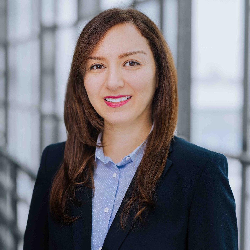 Parisa Daliri - Junior Project Manager - PDietrich Consultants GmbH | XING