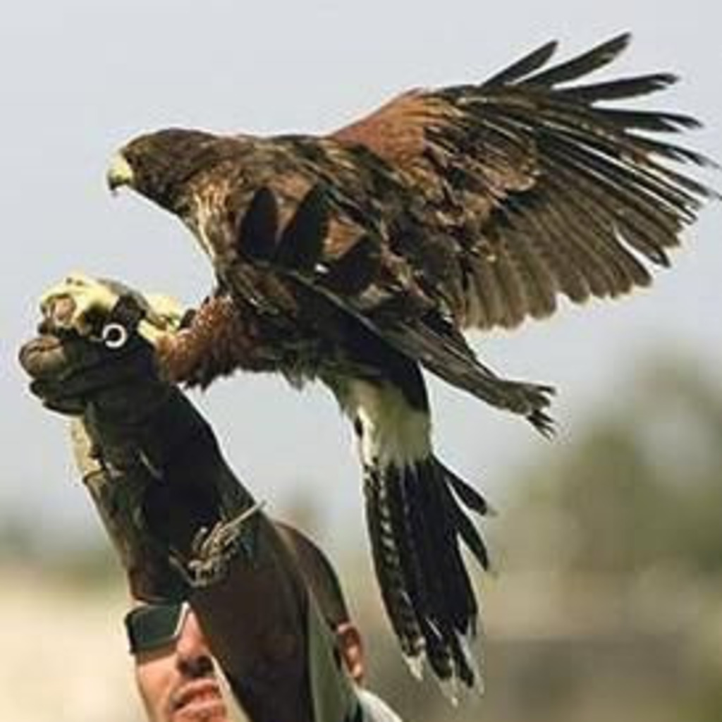 Kim Beer - English Tutor - {} | XING