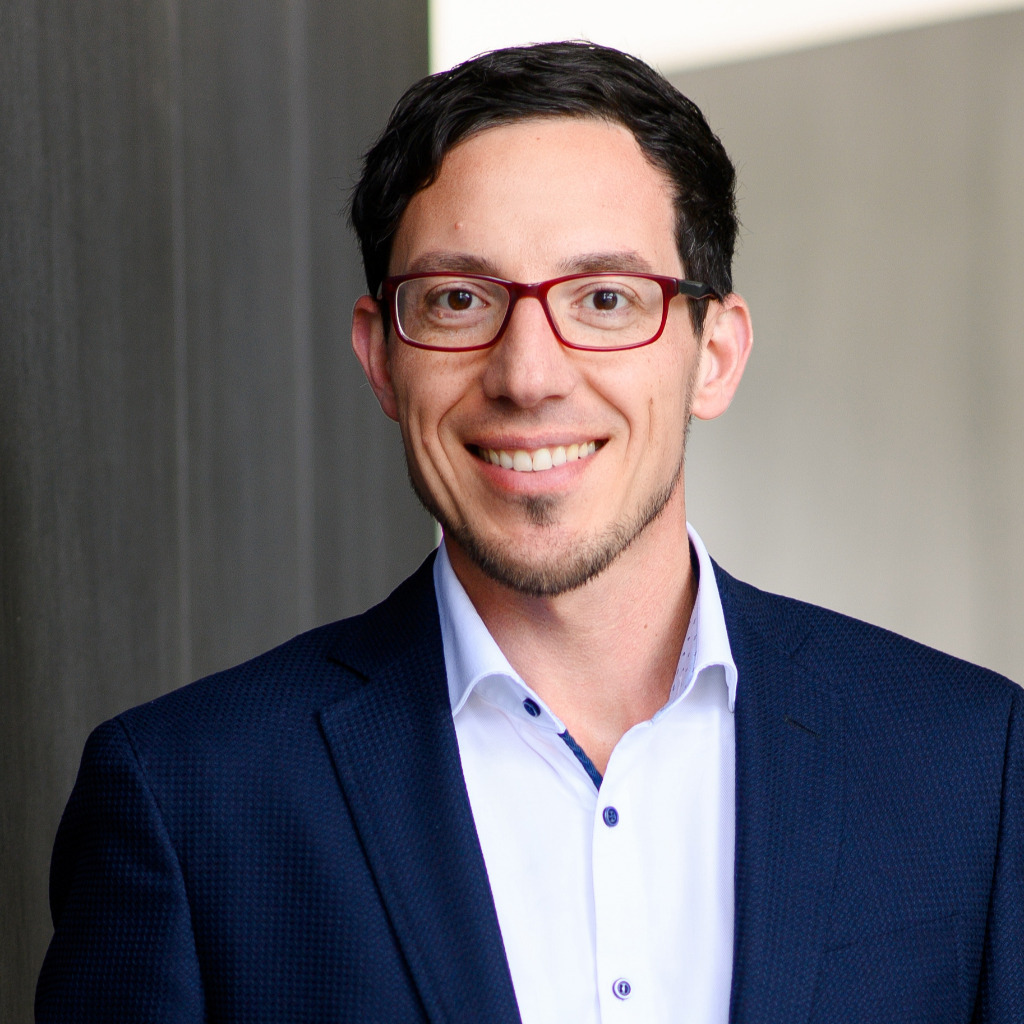 Martin Heinze - Teamleiter energiewirtschaftliche Anwendungen - Energie ...