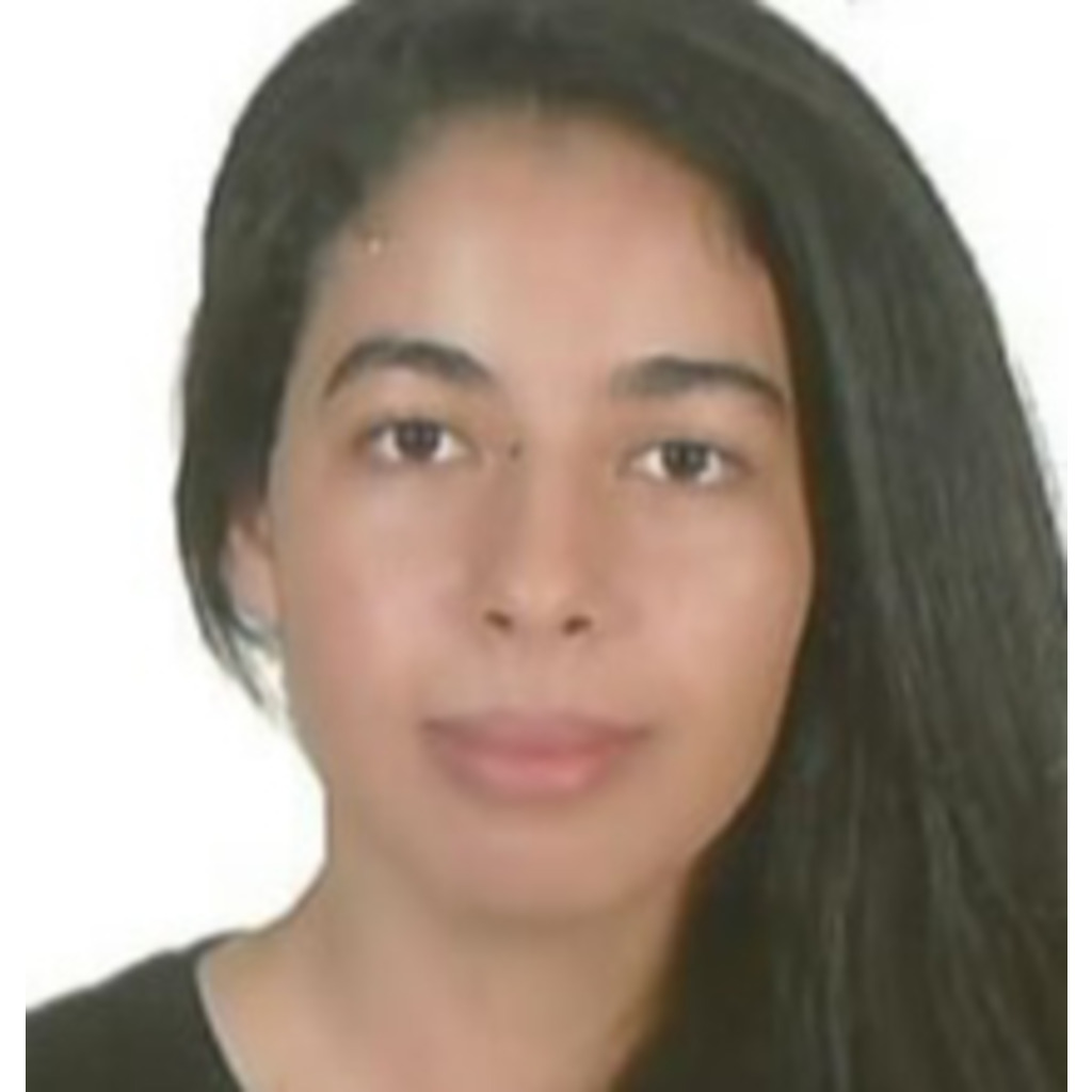 islem smai: Ausbildung und Berufserfahrung | XING