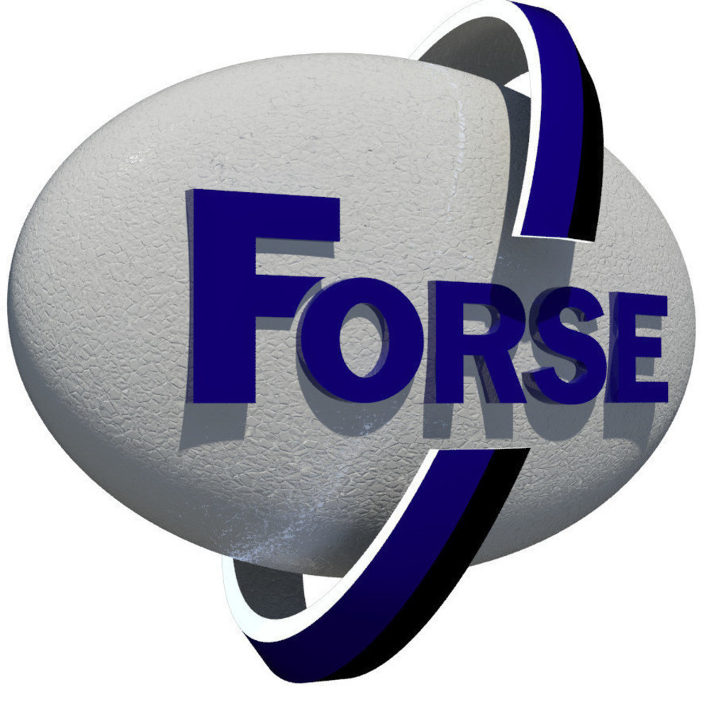 FORSE REKLAM - Yönetici - Forse Reklam ve Bilgi Ajansı | XING