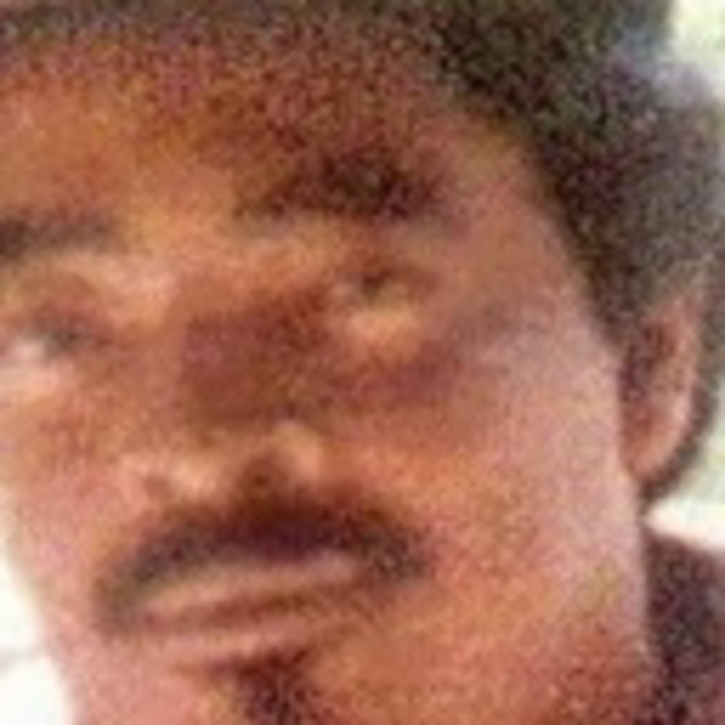 Mickey Hayes - CIO - MetroLocal Hosting Company | XING