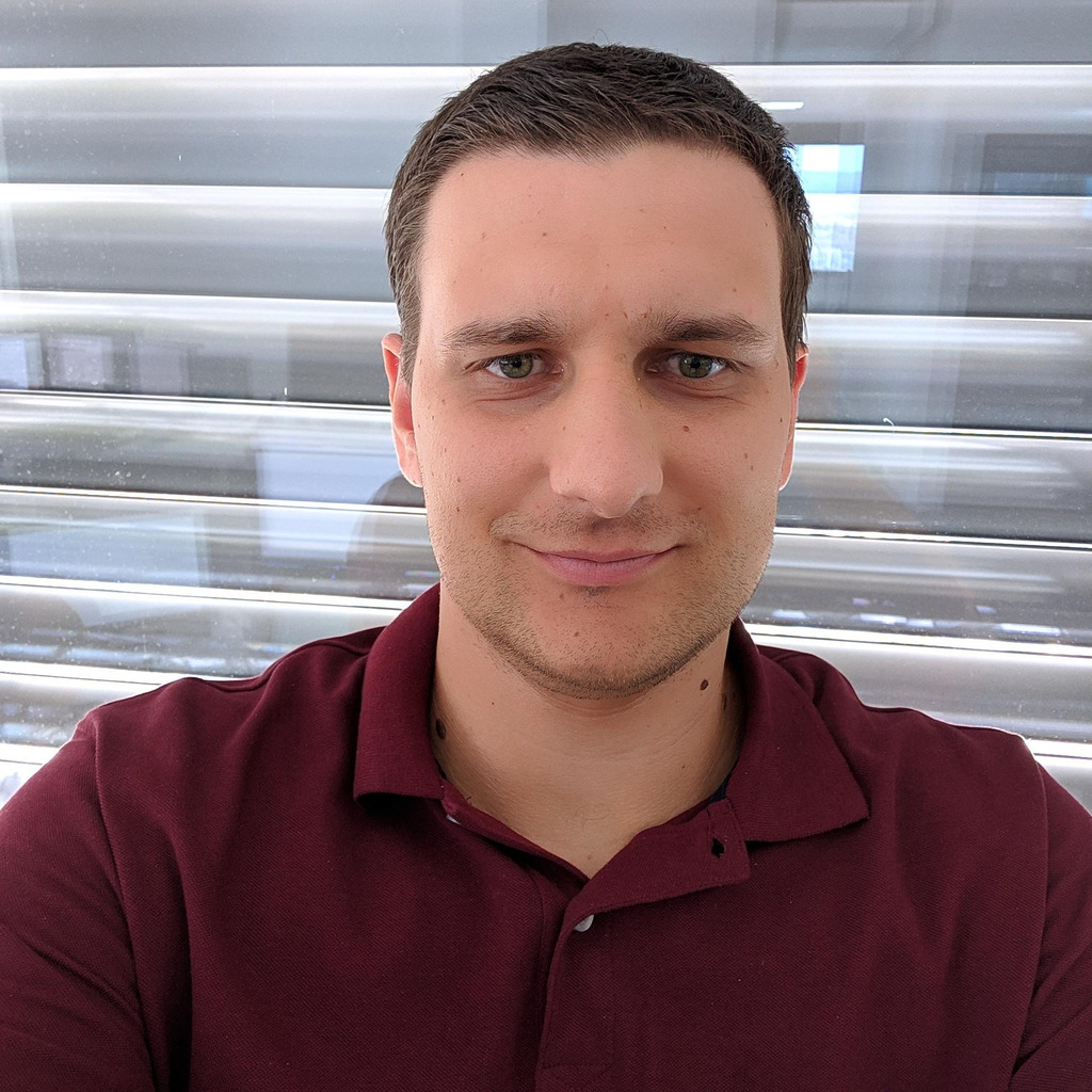 Milan Bojic - Web Developer - UP2GO GmbH | XING