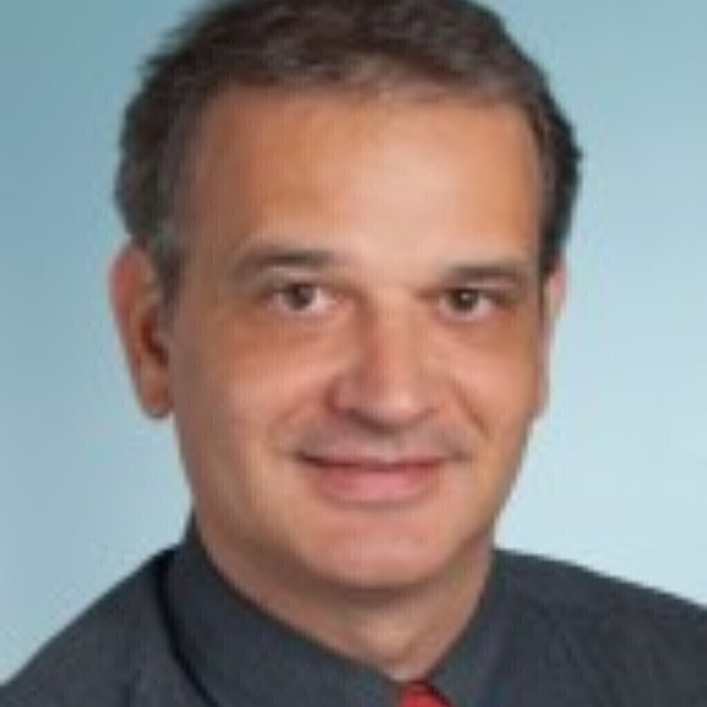 Ralf Schmidt - Senior Manager Passive Safety & Restraint Systems - Daimler Greater China Ltd. | XING