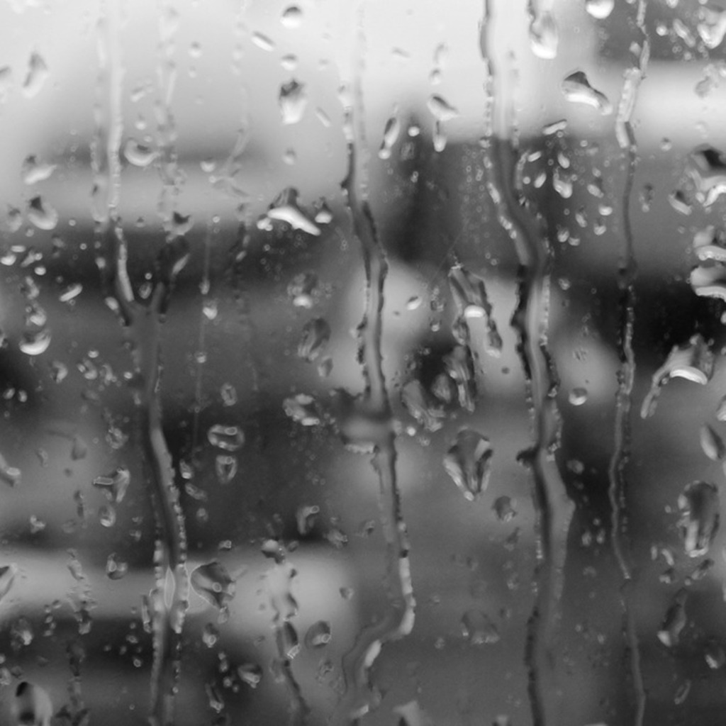 Gerald Moser - IT Systems Administrator - Berger Logistik GmbH | XING