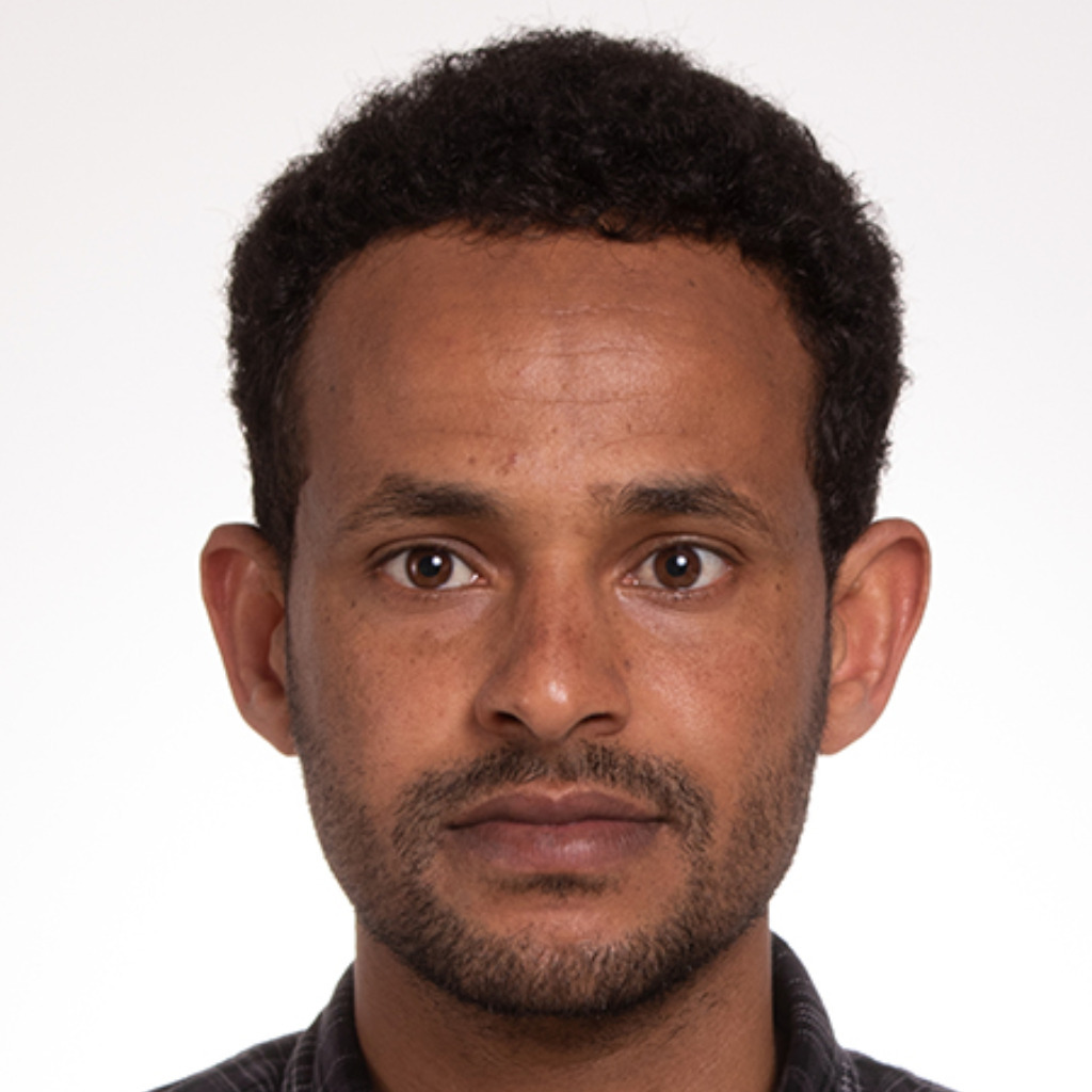 Shewit Hagos - Communication and information systems - Technical ...