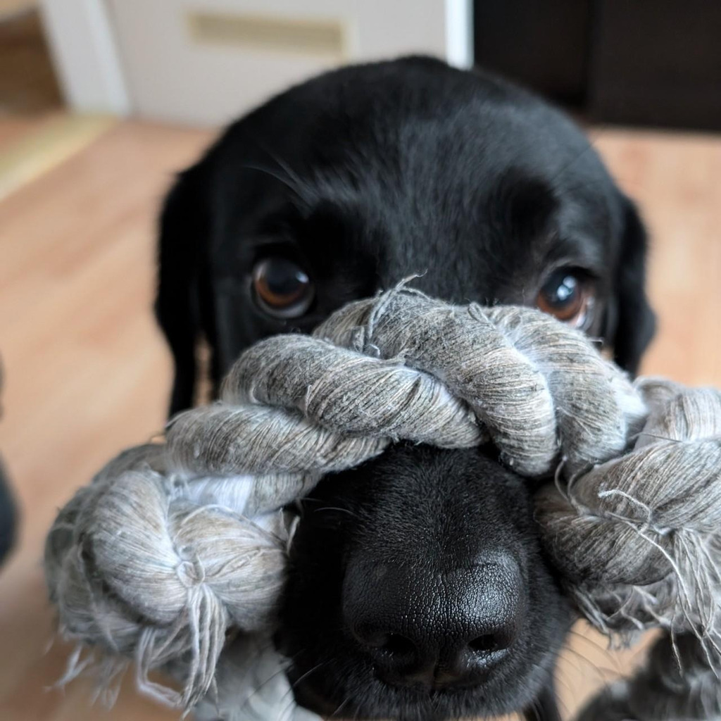 Heymann aus Nürnberg in der Personensuche von Das Telefonbuch