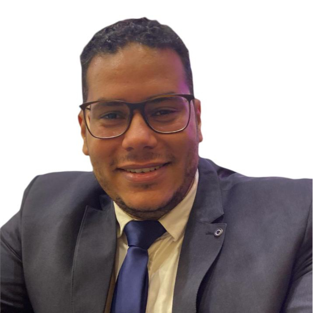 Mohamed Omran - Systems Engineer - Telecom Egypt | XING