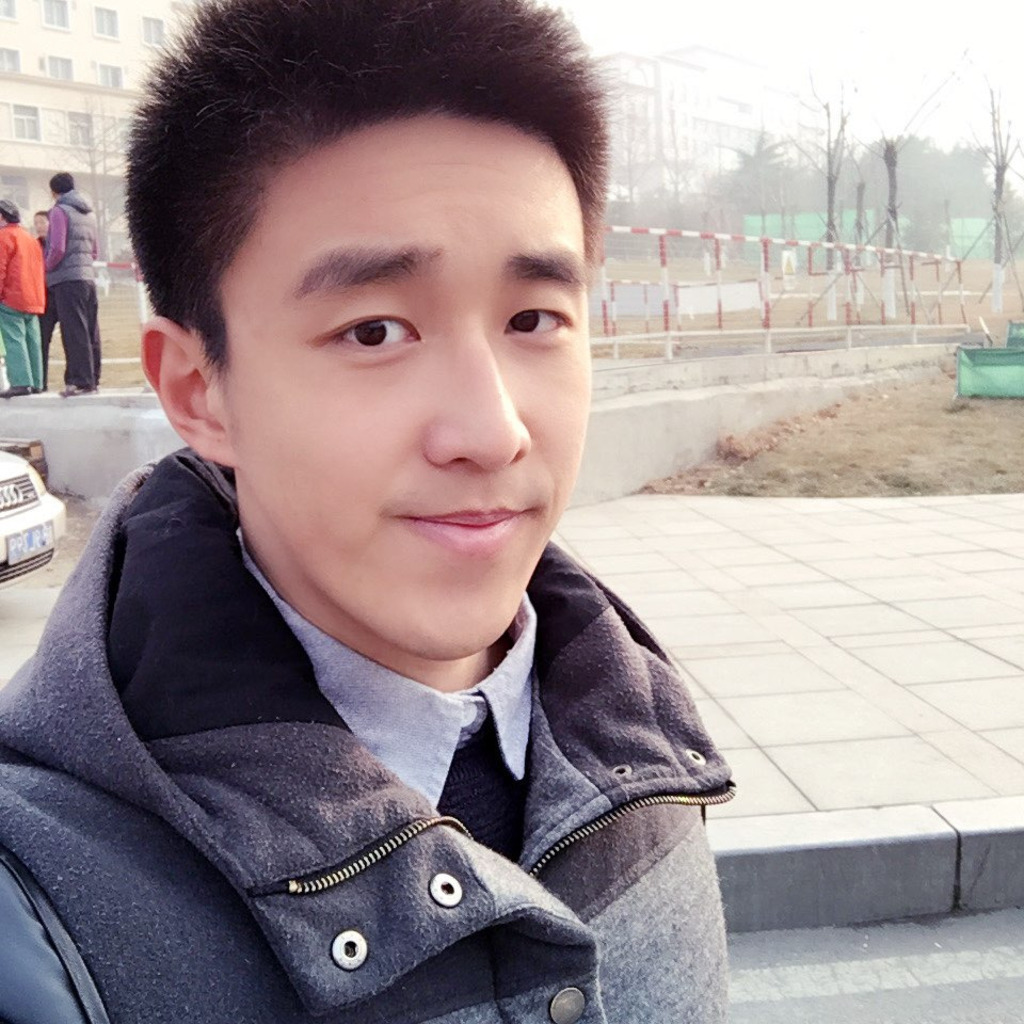 Yilin Li - Team Leader, IT - Huawei Enterprise | XING