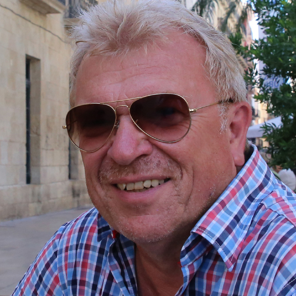 Alfred Engel - IT Consultant - Engel IT GmbH | XING