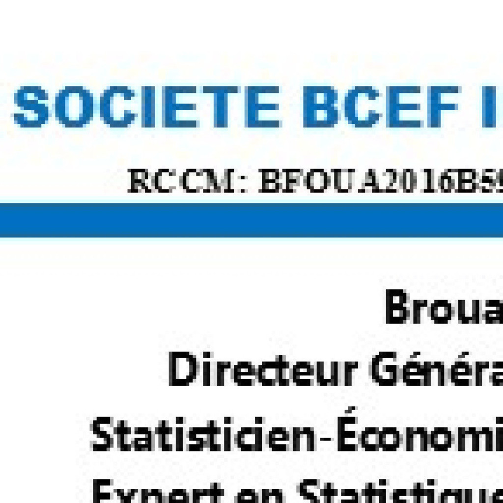 Ing. Société BCEF Ingénierie SARL Directeur Général - Directeur général ...