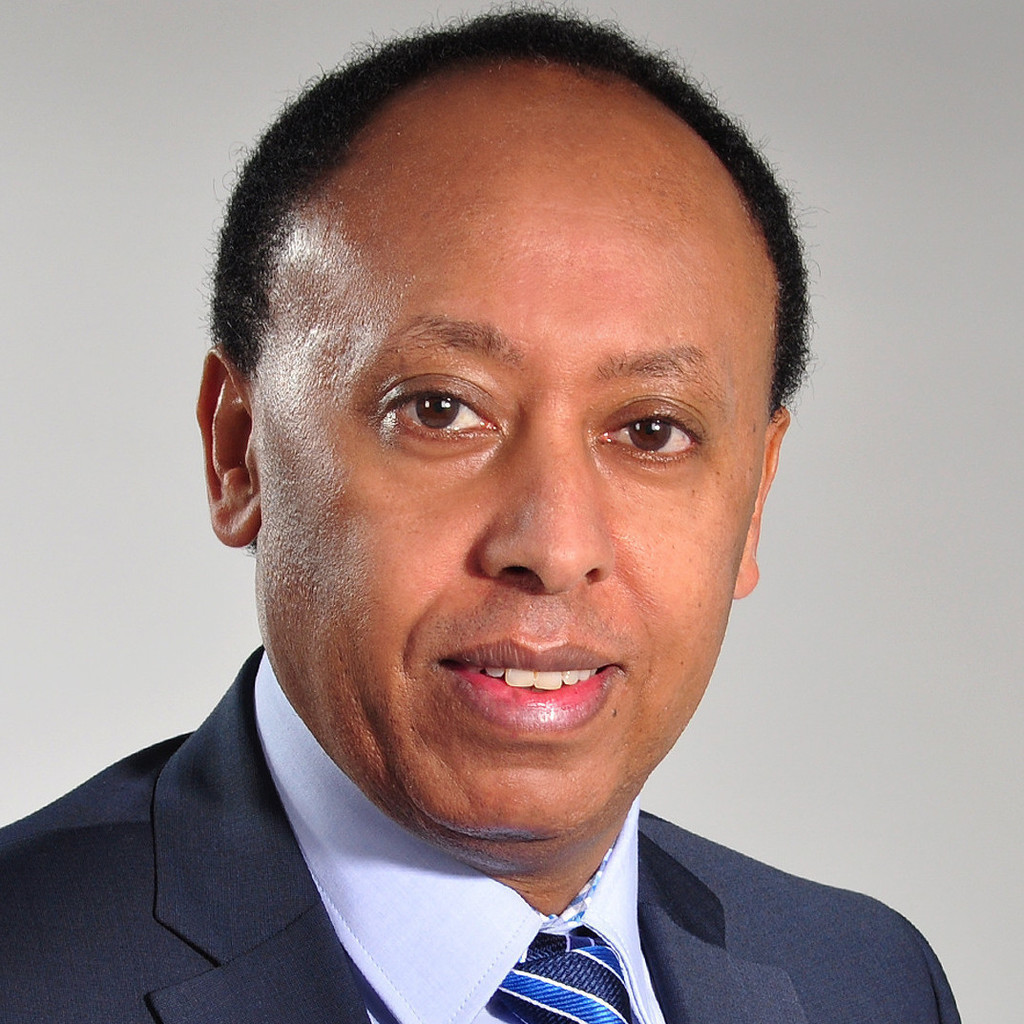 Tesfay Teklay - Senior Test-Specialist for Software & System Tests ...