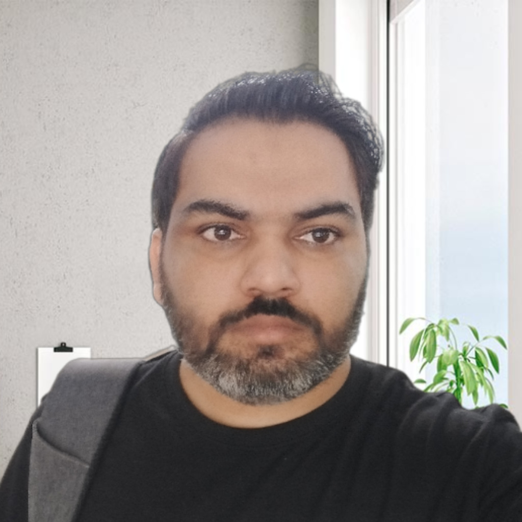 Muhammad Basham - Senior Software Engineer - Meshsoft | XING