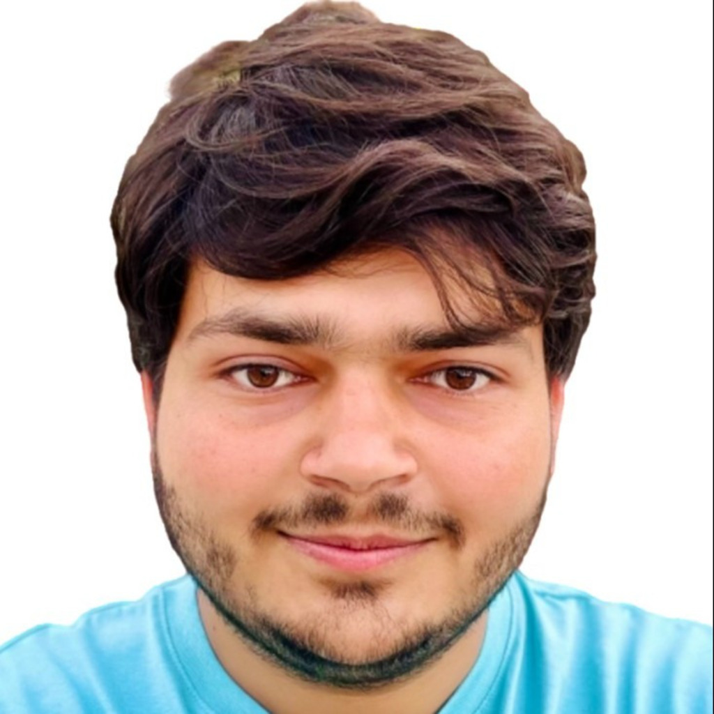 Syed Muhammad Abouzar Sarfraz - Postdoctoral Researcher ...