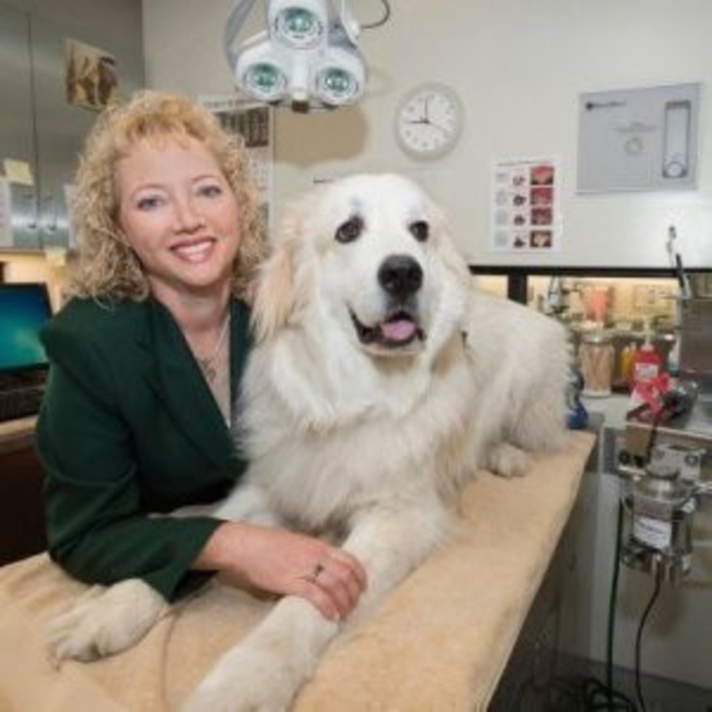 Marcia Mayeda - Director of Animal Care and Control - County of Los ...