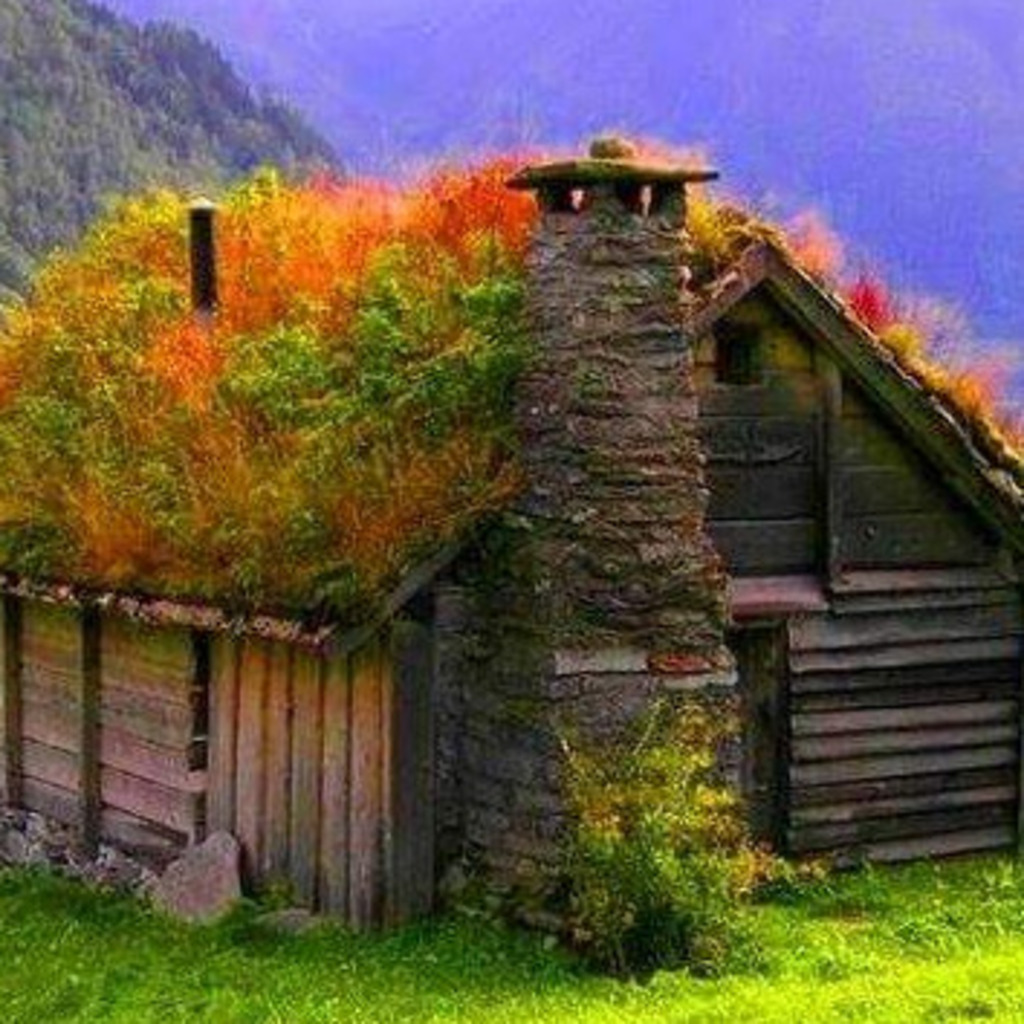 Dominic Lucia - Financial auditor - LUCIA ENTERPRISES INTERNATIONAL LTD ...