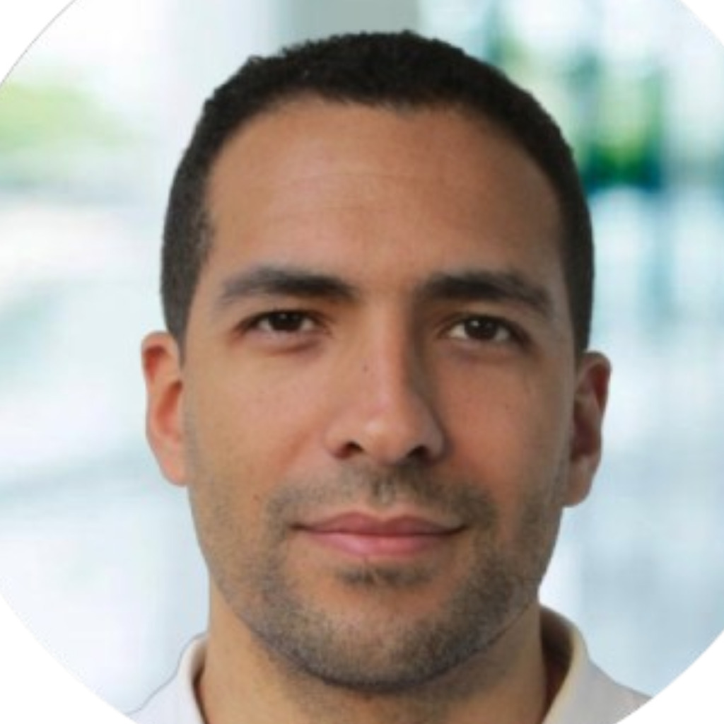 Ing. Fabien Thetis - Senior Solution Engineer - NewStore, Inc. | XING