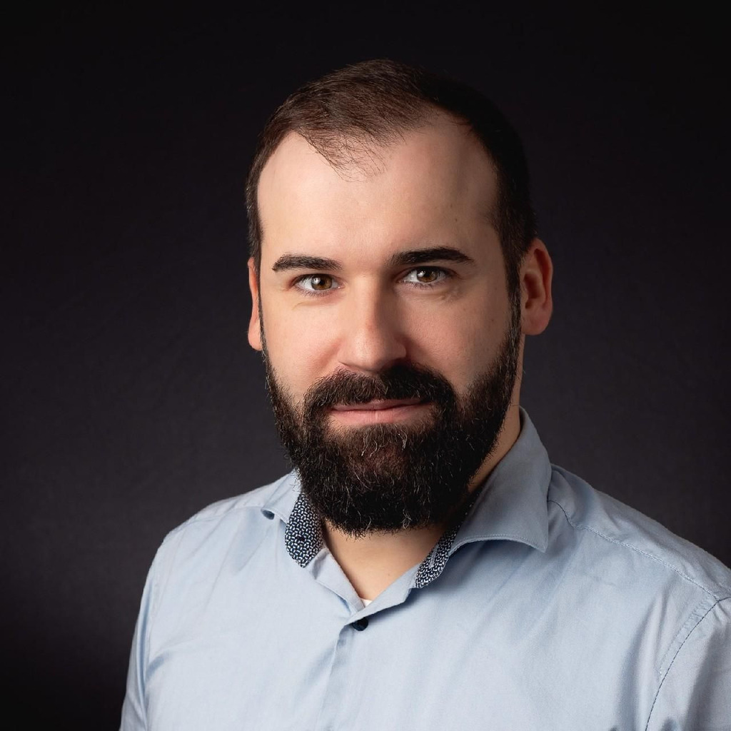 Dieter Daniel - Senior Project Manager / Senior Technical Consultant ...