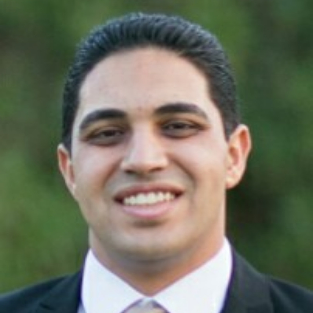 Mina Zarif - Principal Software Validation Engineer - Valeo Egypt | XING